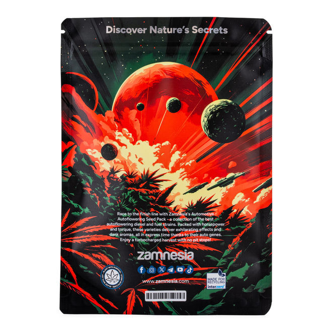 Automotive Autoflowering Cannabiszaden Mixpack