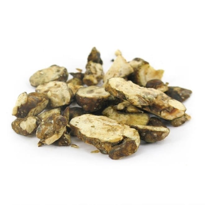 Hollandia truffels | Magic Truffels - Zamnesia