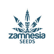 Wietzaadjes kopen | ⭐ Meer dan 3000 soorten! - Zamnesia