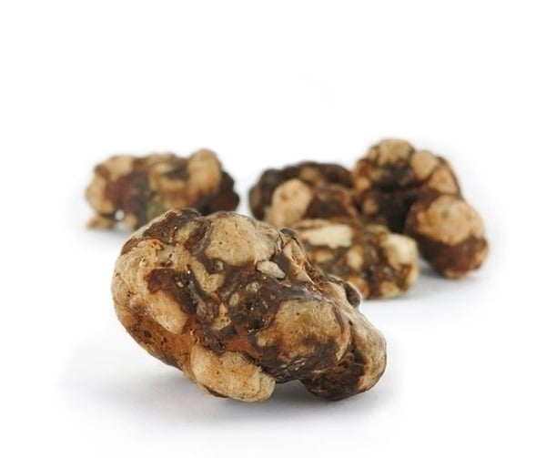 Paddo's & Magic Truffels Bewaren - Zamnesia Blog