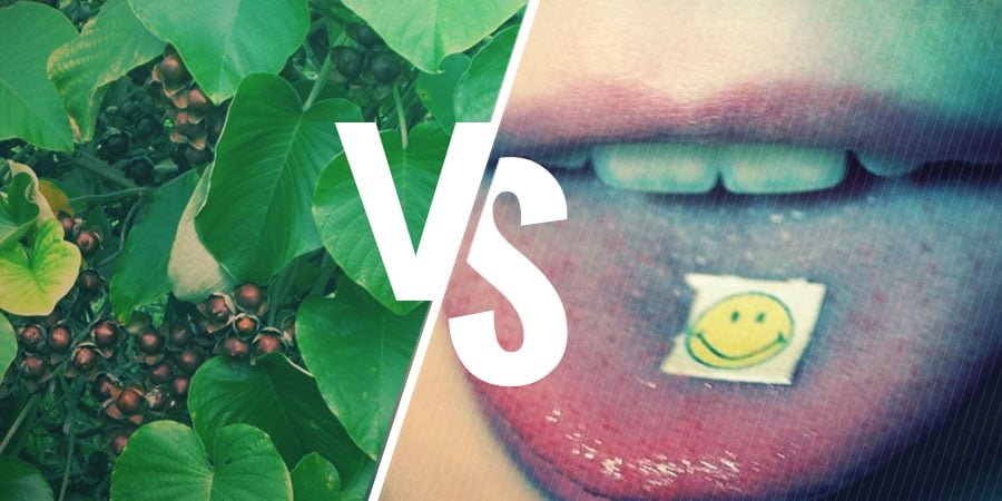 LSA vs LSD – Het Verschil - Zamnesia