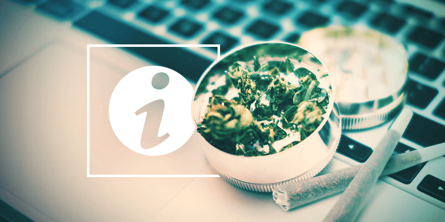 Hoe Kweek Je Wiet? - Hoe kweek je wiet