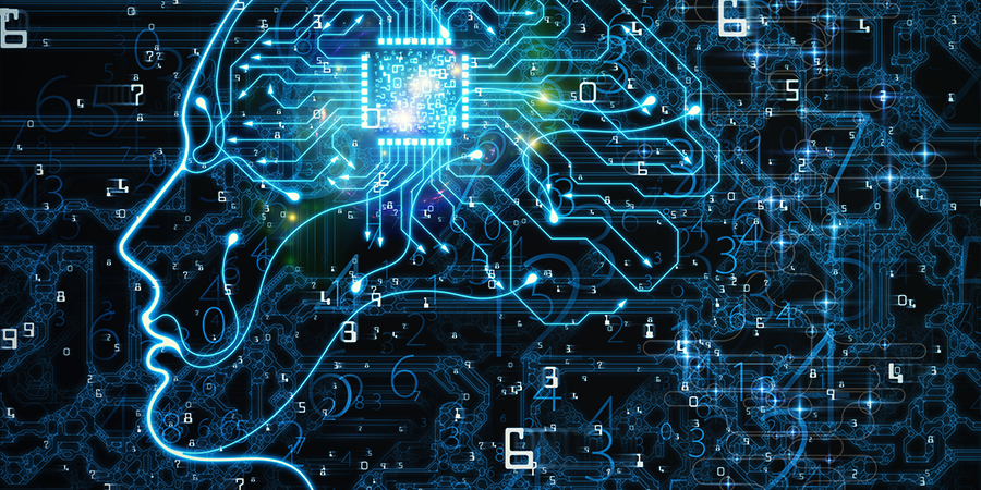 Microdosing Truffle Packs & DIY Tools - Zamnesia