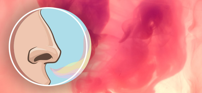 De Zes Soorten Hallucinaties Die Je Kunt Ervaren - Zamnesia Blog